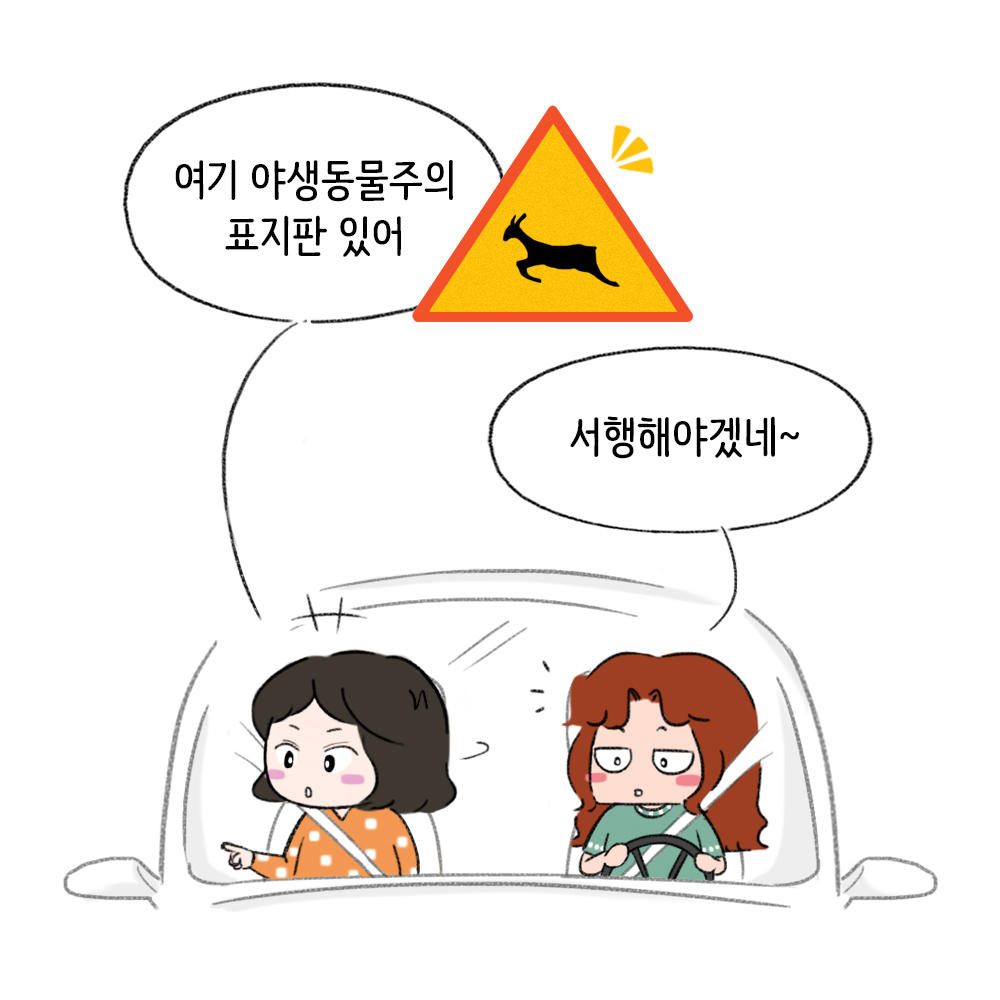 에세이툰 이상하게 생겼네 알고보면 무릎 탁 치는 표지판들 대한항공 뉴스룸